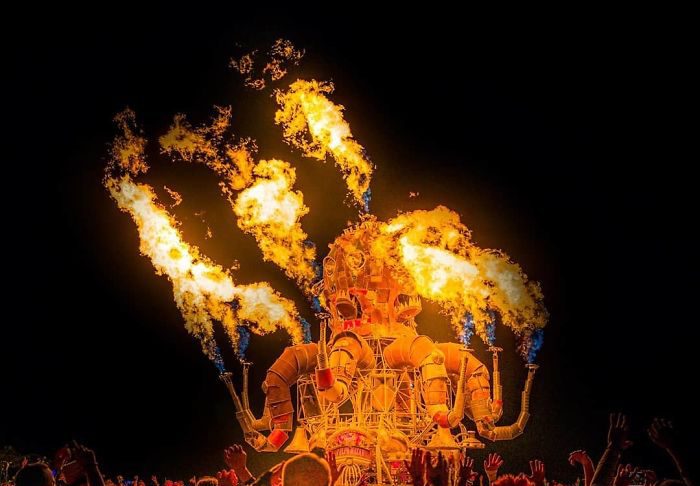 Nasimo: мъдрият вандал - 360mag